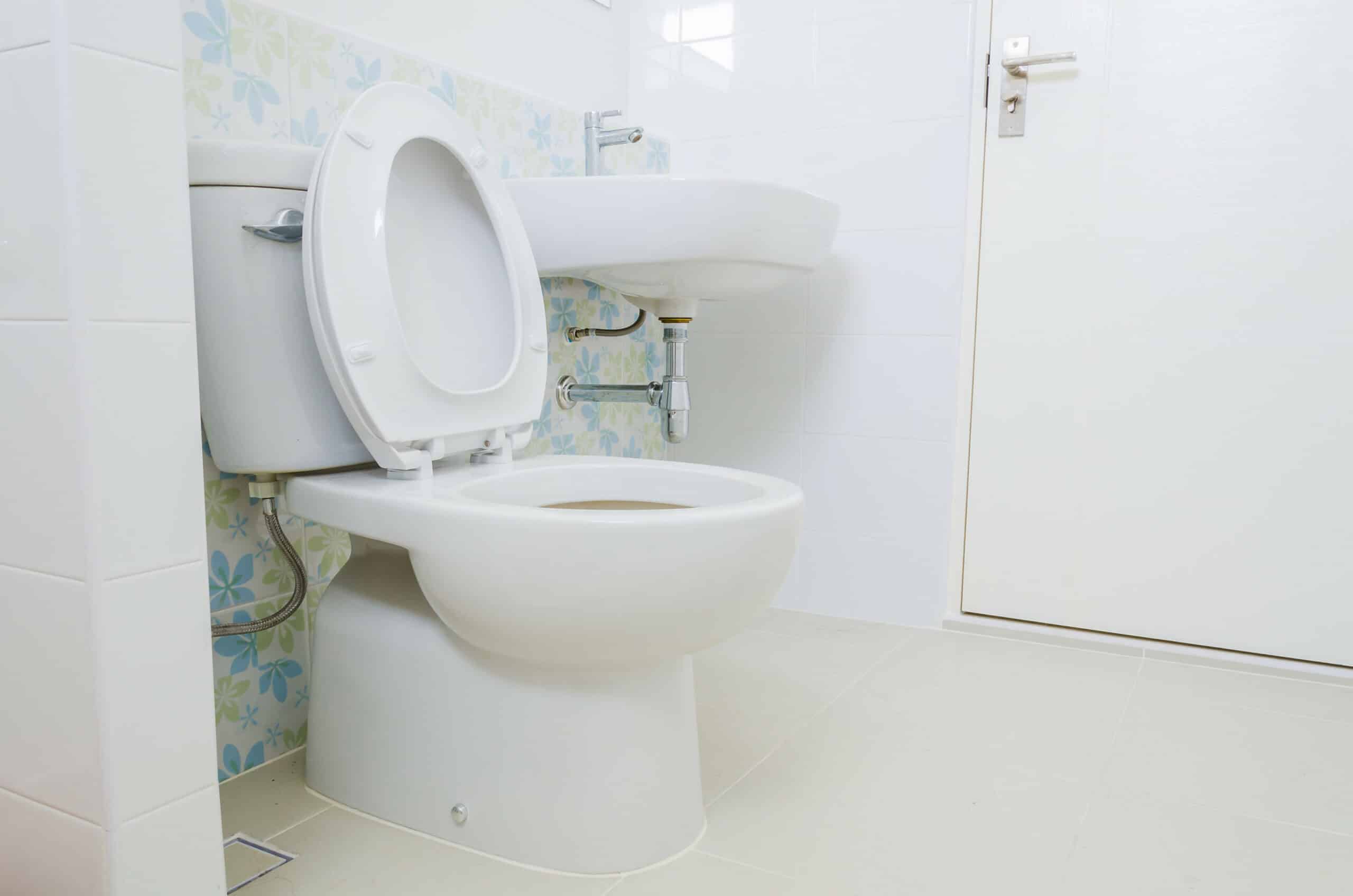 What Are the Most Common Commercial Toilet Repairs? | Earl’s Plumbing ...